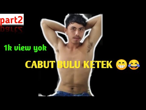 PART 2 CABUT BULU KETEK BARBAR - YouTube