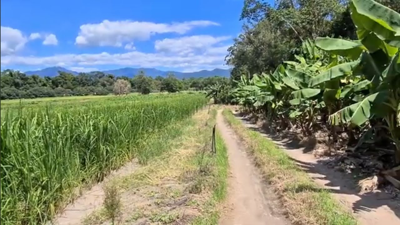 Ua neeg nrog qaib pt3 - YouTube