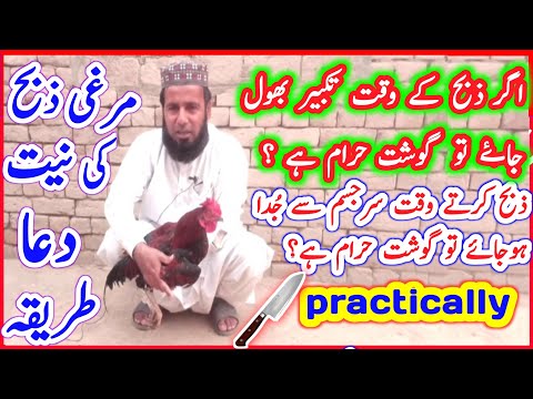 Murgi Zibah Karne ki Takbeer / Murgi Zibah Karne ki Dua / 🐓 murgha zibha Karne ka Tarika #zibahkidua