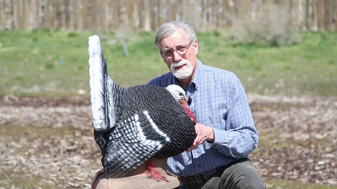 Delta McKenzie Strutter Turkey Target Review - YouTube