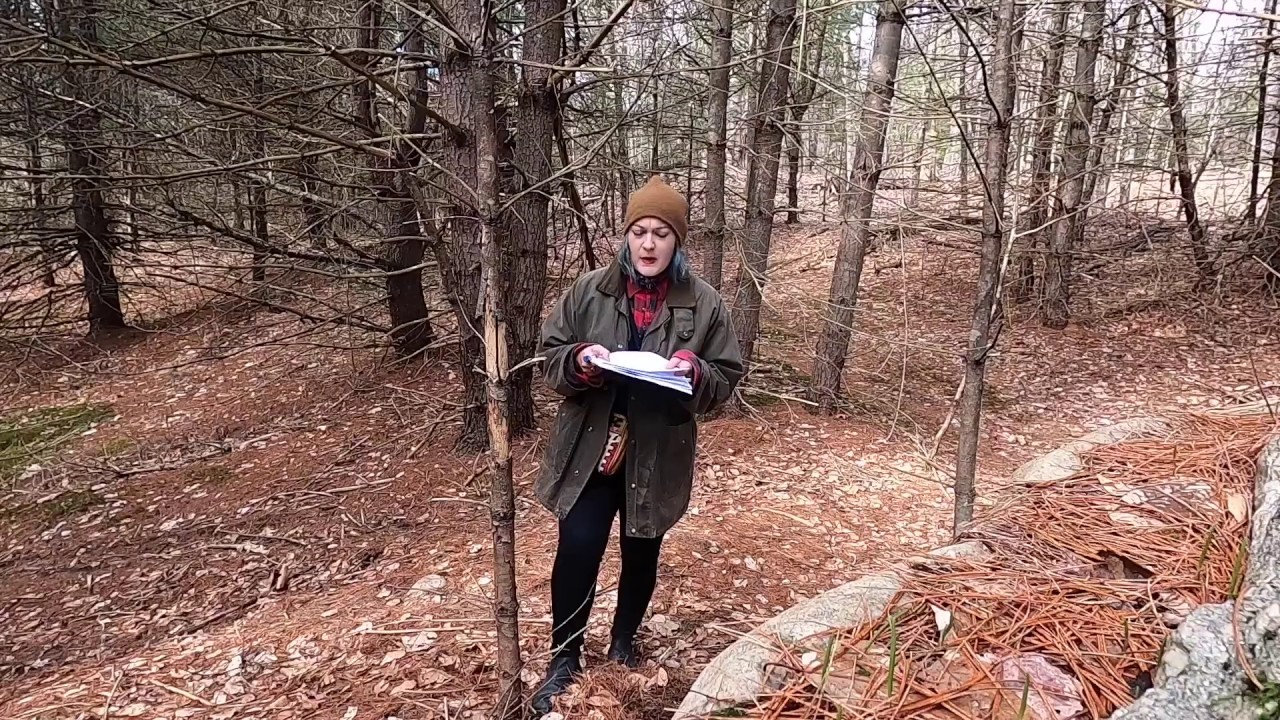 “Deor, Wulf & Eadwacer" and "The Wife's Lament”: A reading by ...