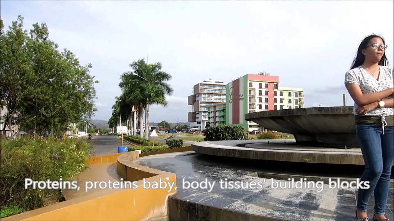 The Protein Song - YouTube