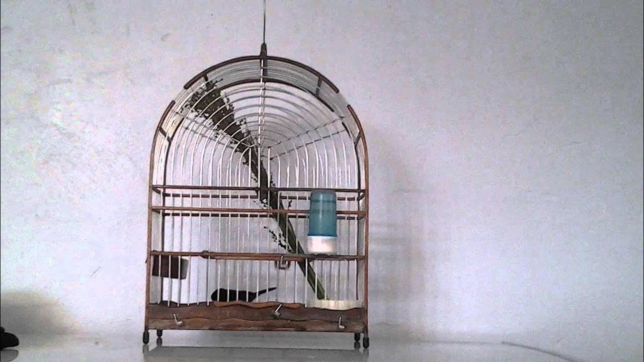 picolet piye piye - YouTube