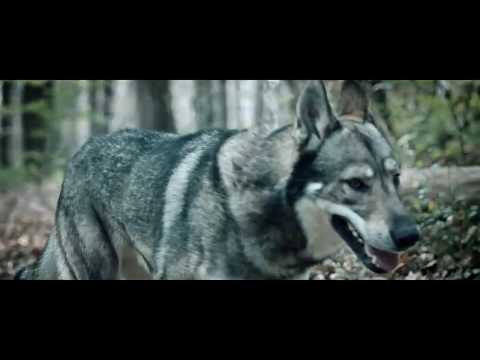 Sansar Salvo (ft. Şanışer) - Yarın Ölümü Beklemek Yerine (Official Video - 2016)