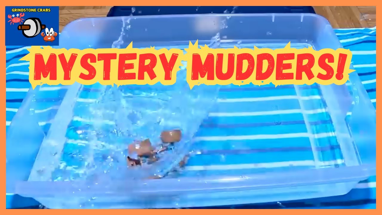 Monster Jam Mystery Mudders Monster Trucks Revealed - YouTube