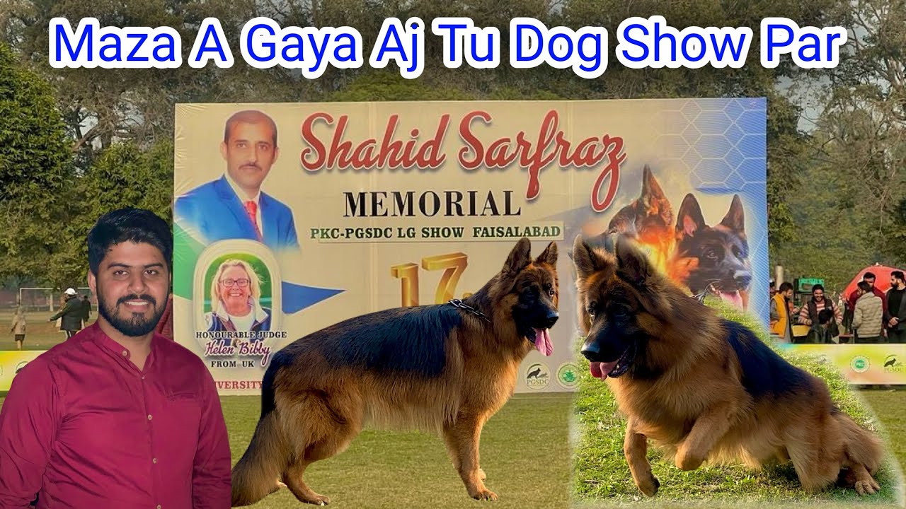 Faisalabad Dog Show Par Gaye Ajj | All Dog Breeds Show | Punjabi Shok ...