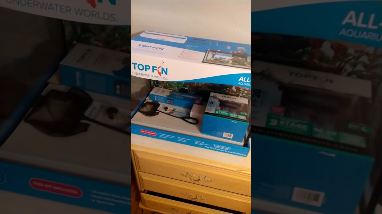 Tank is over crowded, guppies getting a much bigger tank. #aquarium ...