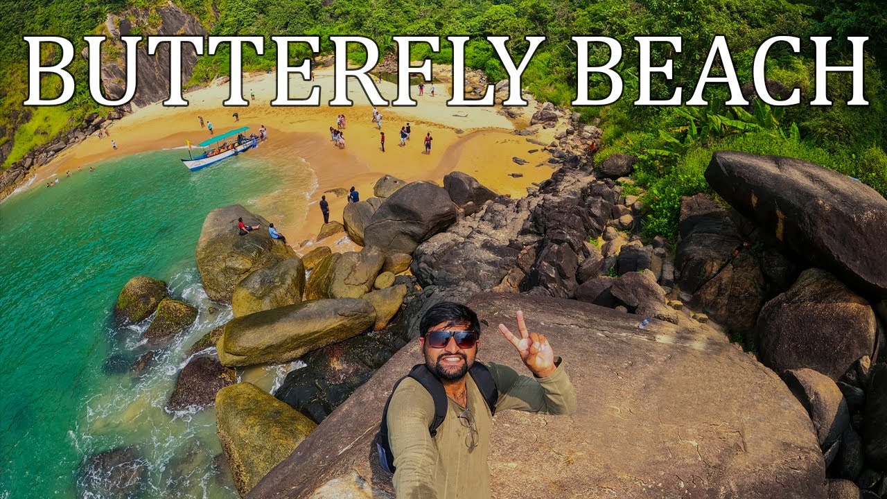 BUTTERFLY BEACH GOA | How to Reach | Trek Guide | South Goa Beach | Goa ...