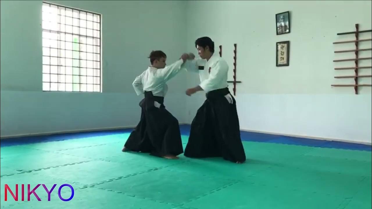 AIKIDO: CHOKU TSUKI - KATAME WAZA - YouTube
