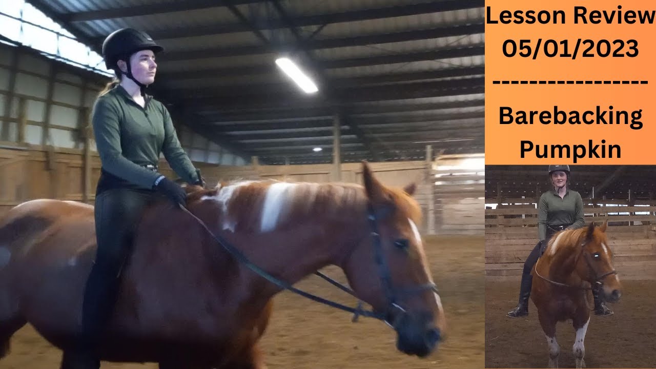 Lesson Vids 05 01 2023 - Barebacking Pumpkin! - YouTube