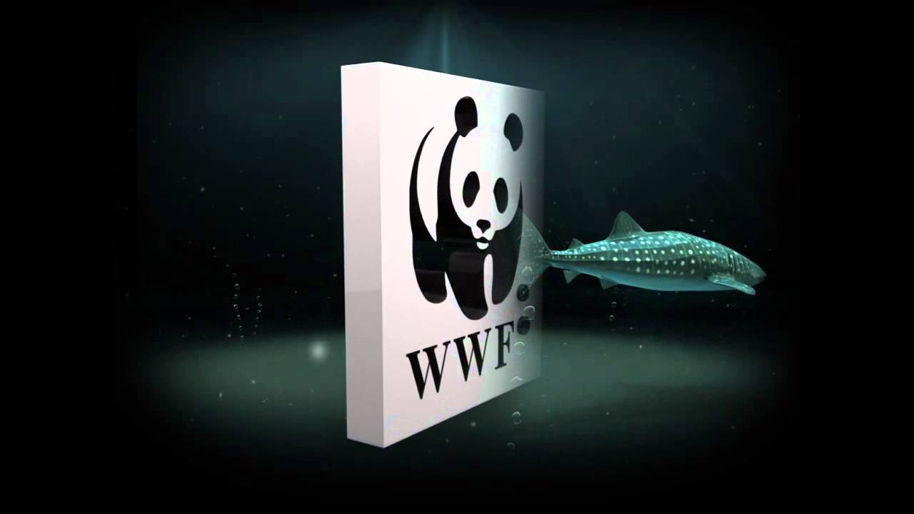 Certina - WWF 3D Hologram Video - Preview - YouTube
