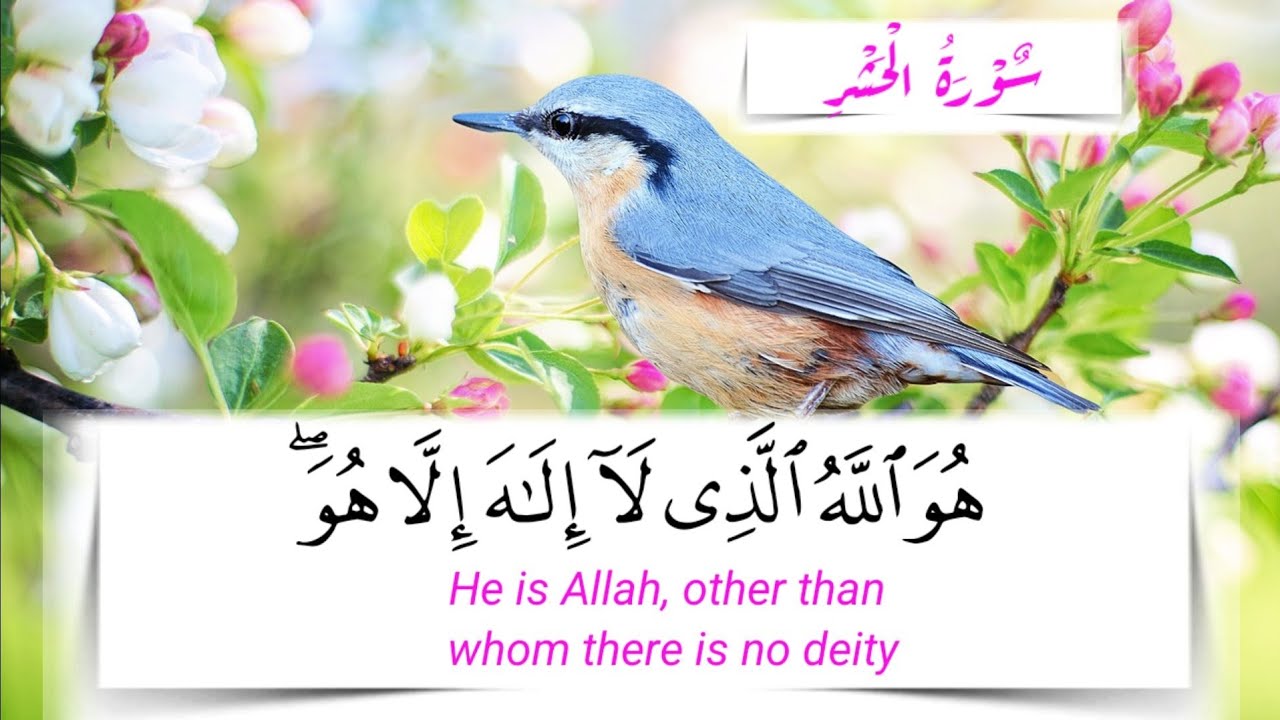 Surah Hashr Last 3 Ayat | Surah Hashr Last 3 Ayat With English ...