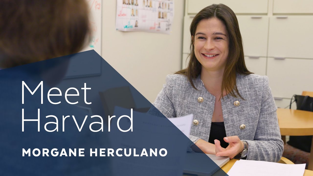 Meet Harvard: Morgane Herculano - YouTube