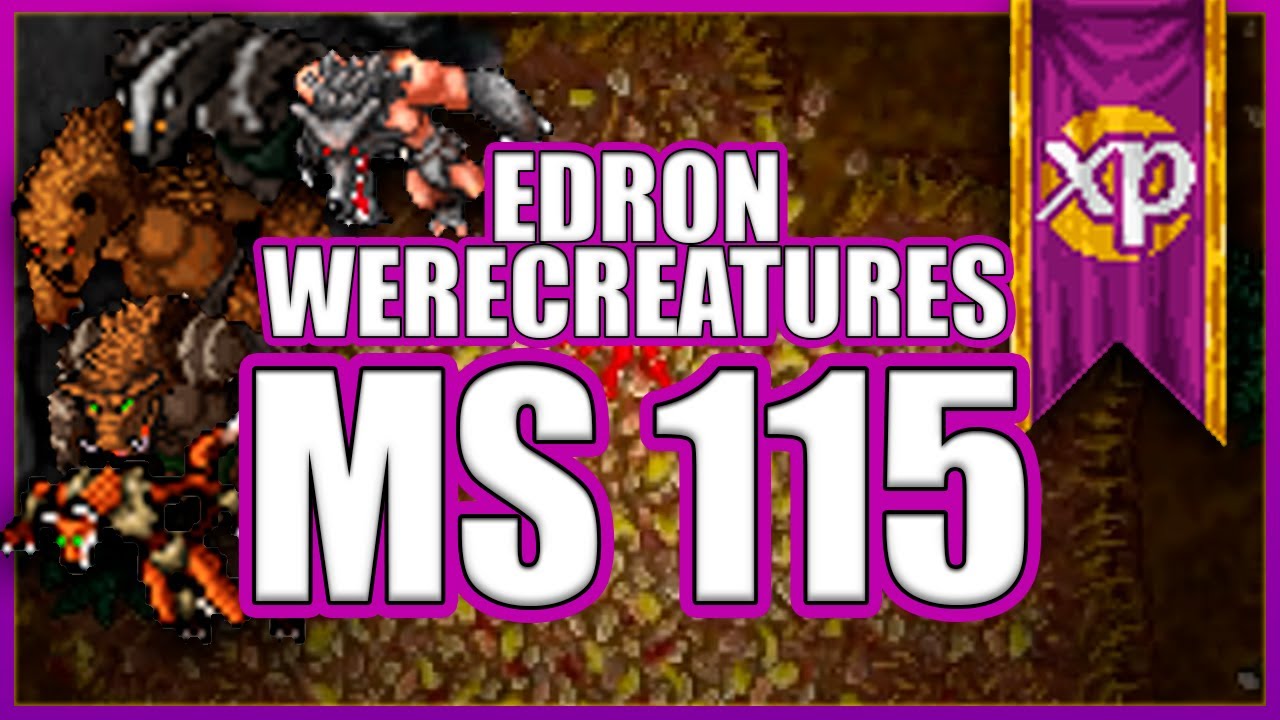 MS 115 – Werecreatures Edron [XP] | Where to hunt Sorcerer | Tibia ...