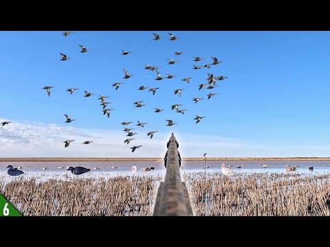 Duck Hunting FLOODED Wheat | (Catch, Clean, Cook)