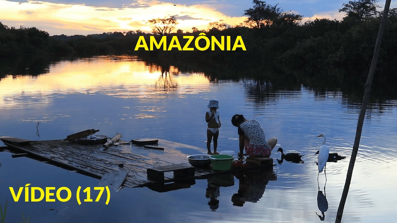 17 DIAS EM UMA COMUNIDADE RIBEIRINHA NO LAGO AMANÃ - AMAZONAS. VÍDEO ...