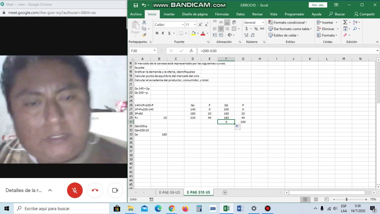 EXCEDENTE DEL PRODUCTOR, CONSUMIDOR, TOTAL. BENEFICIO TOTAL Y COSTO ...