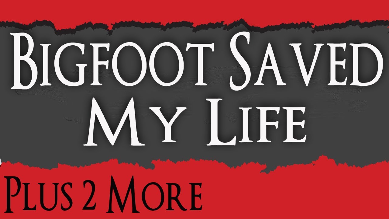 Bigfoot Encounters: Bigfoot Saved My Life - Bigfoot Reached Out His ...