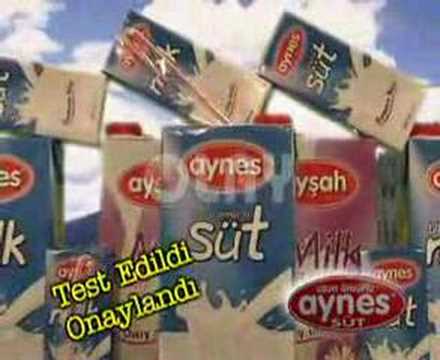 Aynes