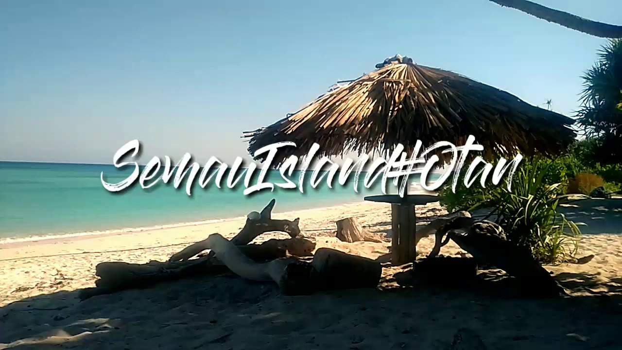 keindahan bawah laut pulau semau#otan#kupang#ntt#indonesia#dx# ...