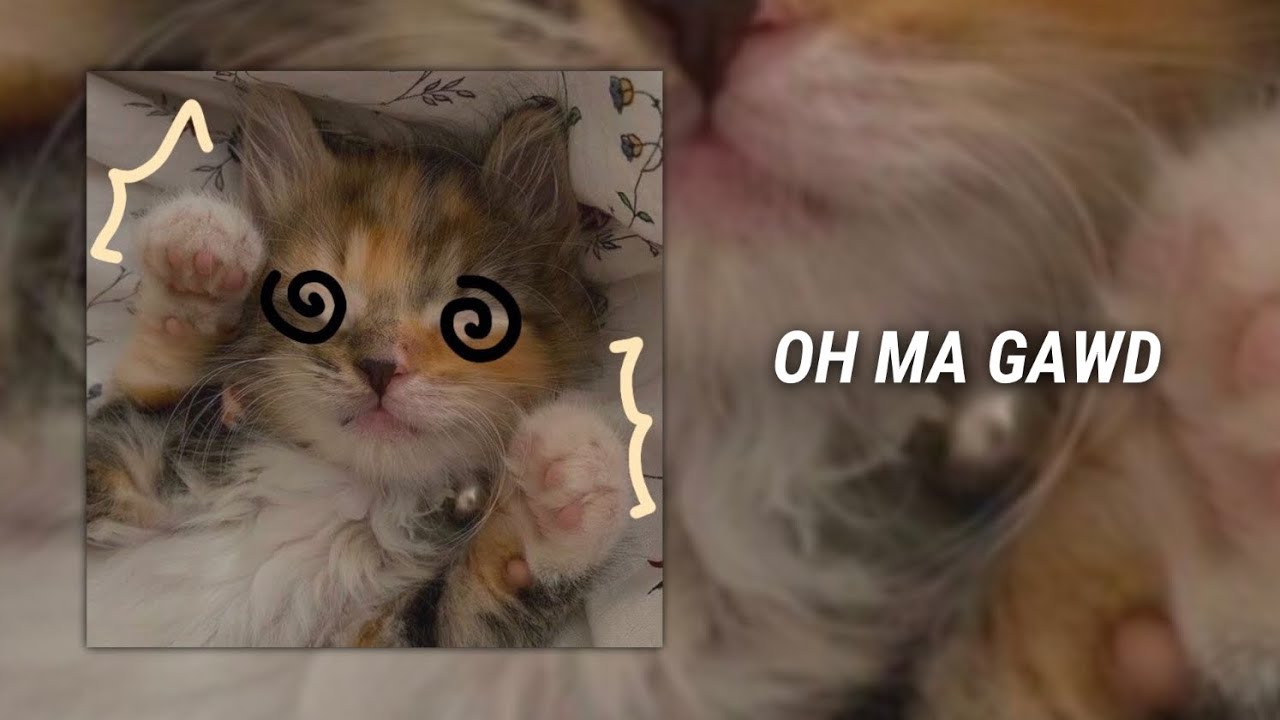 Silly edit audios for silly people 🫵 - YouTube