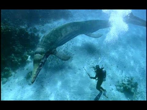 Walking with Sea Monsters - A Quick Review - YouTube