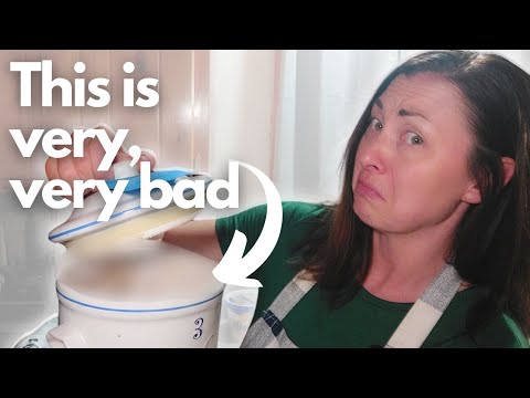 **CONTAMINATED** Sourdough Starter | Mold, Bacteria and Hooch Visuals 😱 ...