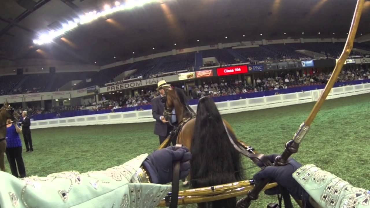 Ali DeGray - YouTube