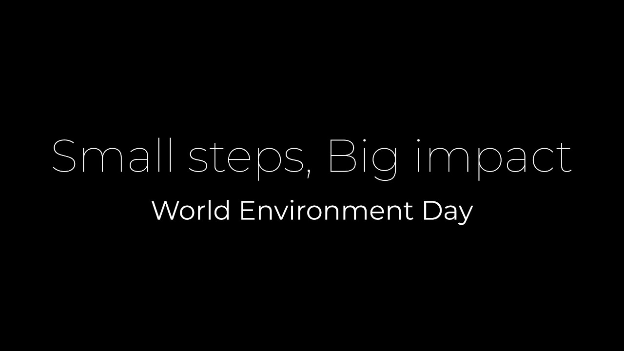 Small Steps Big Impact | World Environment Day - YouTube