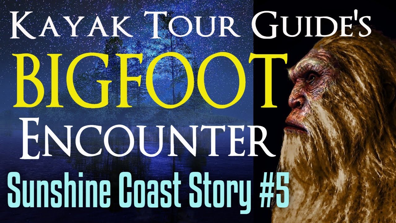 Bigfoot Encounter - Sunshine Coast Stories #5 - Kayak Tour visited by ...