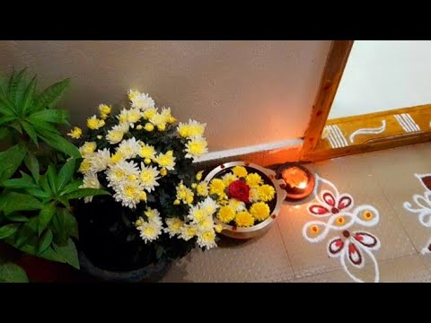 Beautiful main door entrance decoration🌺nilaivasal kolam🌺easy rangoli ...