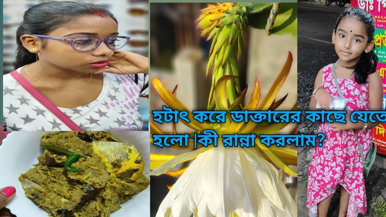Hotath kore doctorer kache jete holo. aj ki ranna korlam? dragon gache ...