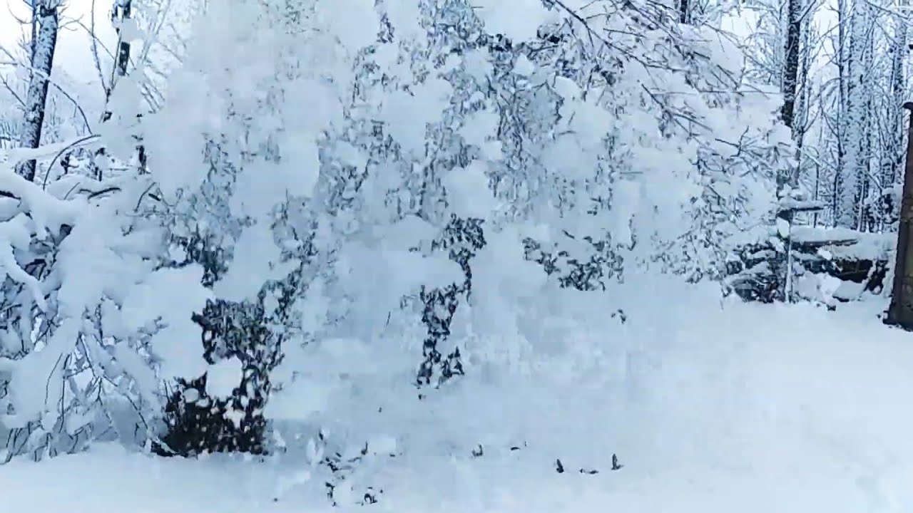 Snowfall in slow motion || Me at my home enjoying snow fall || Falling ...