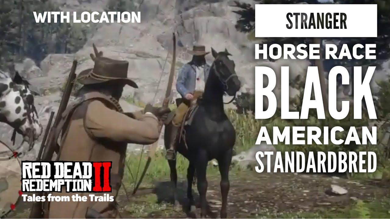 Stranger Horse Race - Black American Standardbred in Red Dead ...