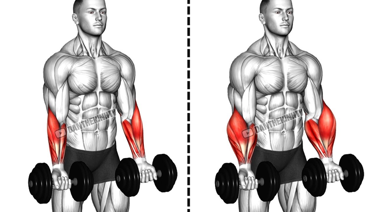 5 Best Forearm Exercises You Should Be Doing - YouTube