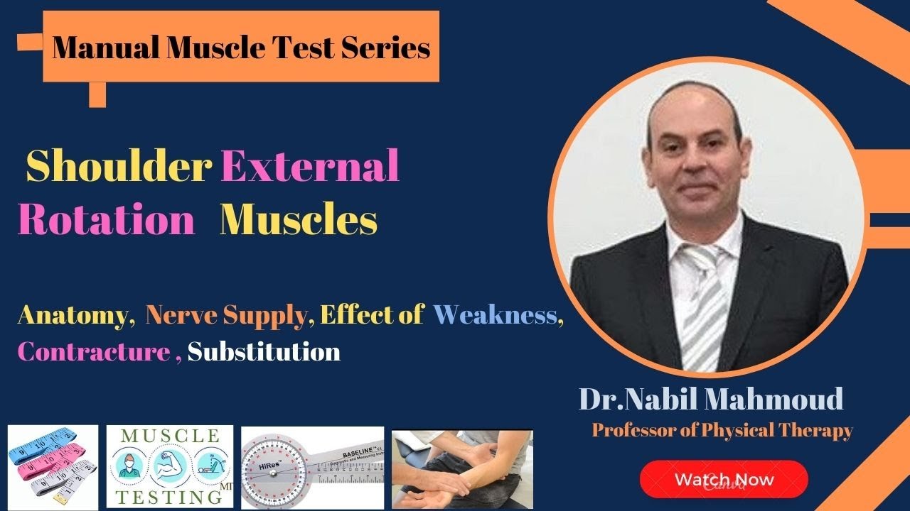 Shoulder External Rotation Muscles - YouTube