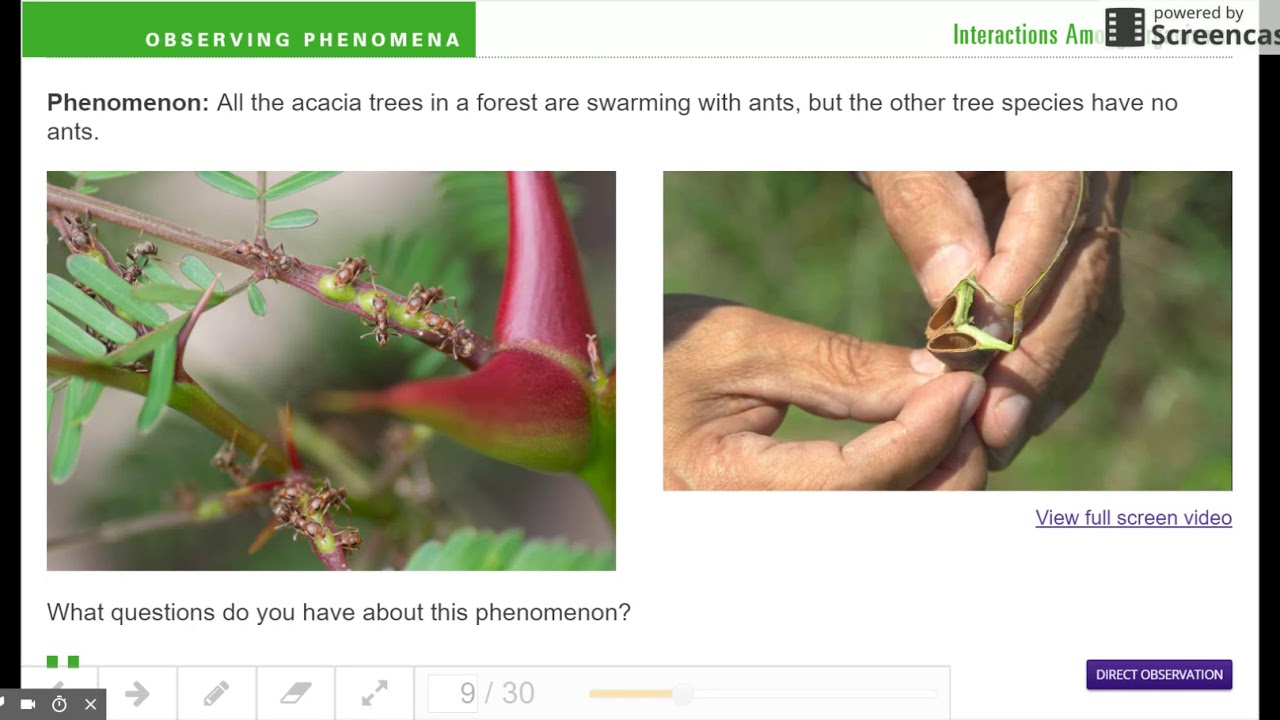 Teacher - Slideshow Present - TeachTCI - YouTube