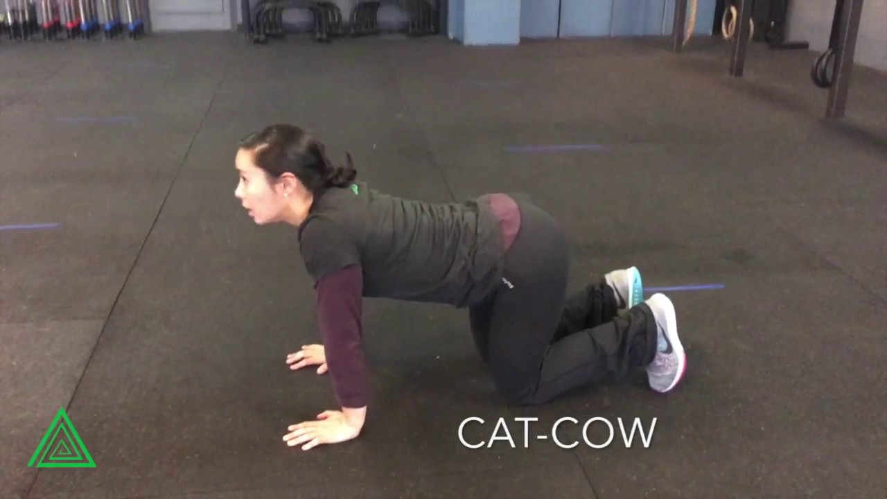 Cat-Cow | Gymnastics Strength Training | TREBEL Wellness Solutions ...