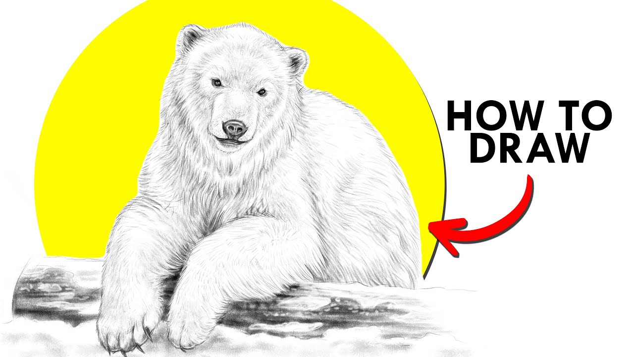 How To Draw A Polar Bear - YouTube