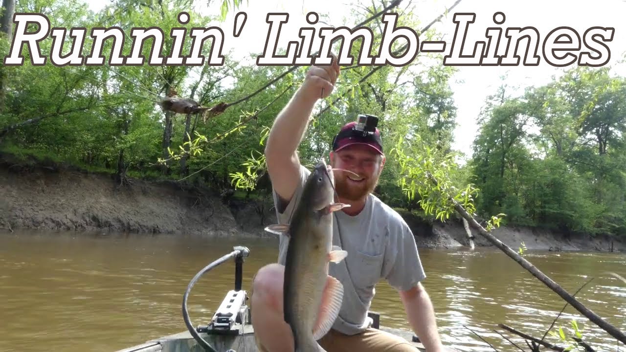 Limb-Lining for Catfish on a Small River - YouTube