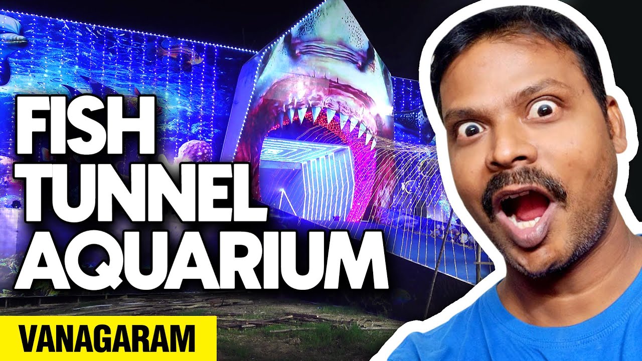 Vanagaram fish exhibition 🐟🐬🐳 | Vanagaram fish tunnel aquarium ...