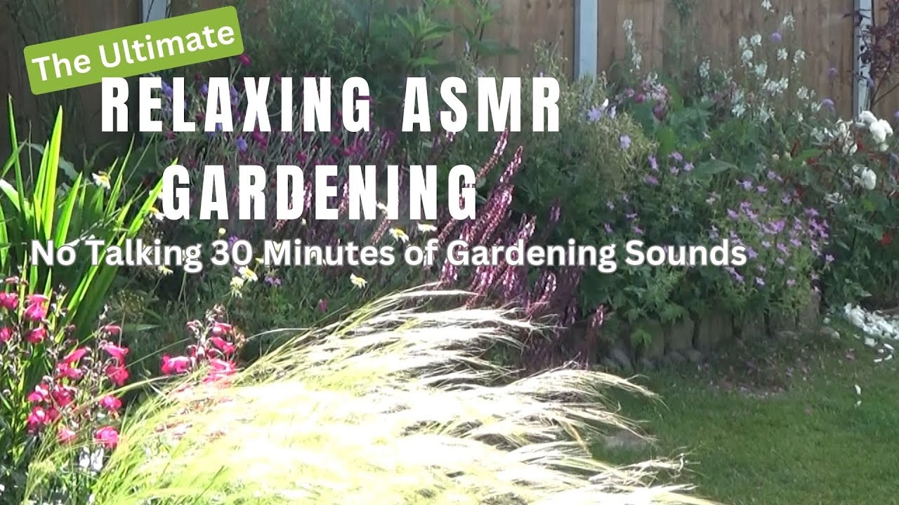 30 Minute Gardening No Talking ASMR | Relaxing Sounds of Planting ...