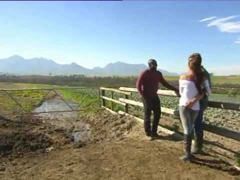 CJ Stander marries Jean-Marié Neethling (FULL INSERT) - YouTube