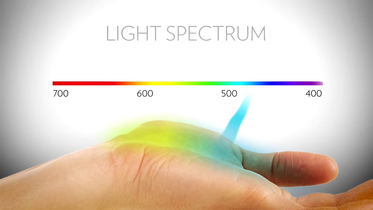 Scan your body to see your Antioxidant Levels with the new S3 Scanner ...