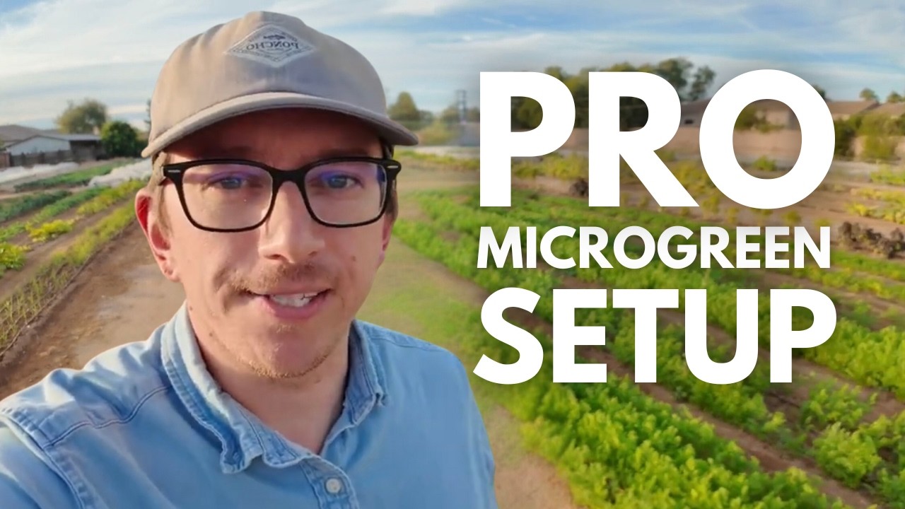 Grow More Microgreens in Less Space! Microgreens Grow Rack Setup - YouTube