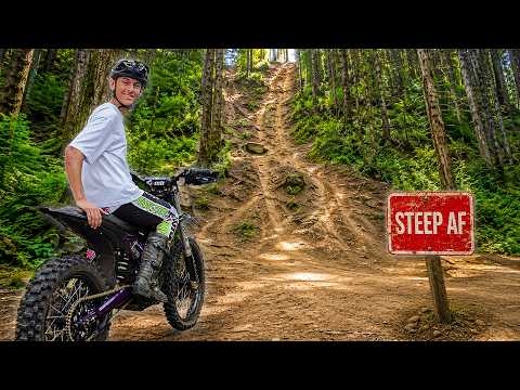 I Took My Ultra Bee Deep Into the Woods…