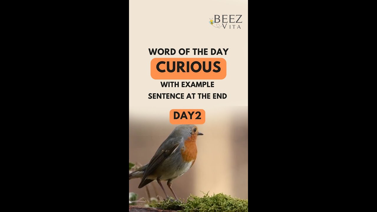 Day 2 | Curios Meaning and Usage | Learn English #vocabulary #english ...