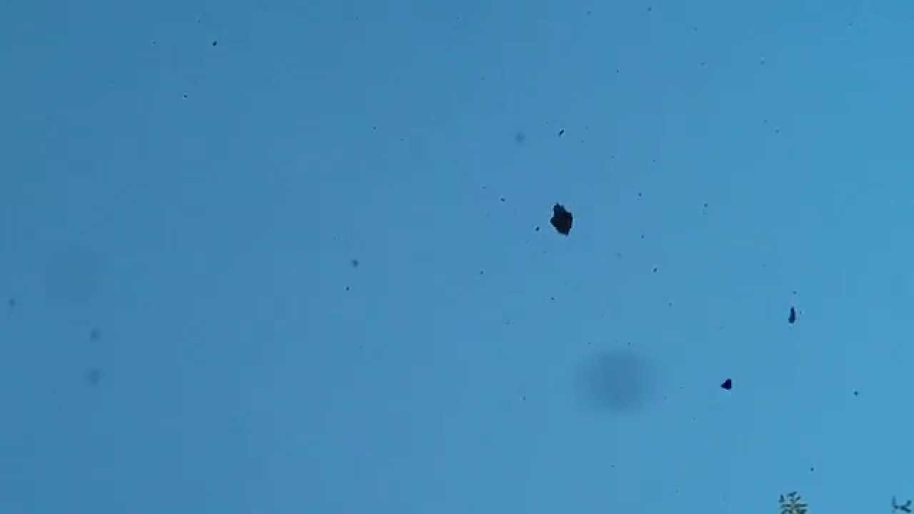 ash falling from my fire - YouTube