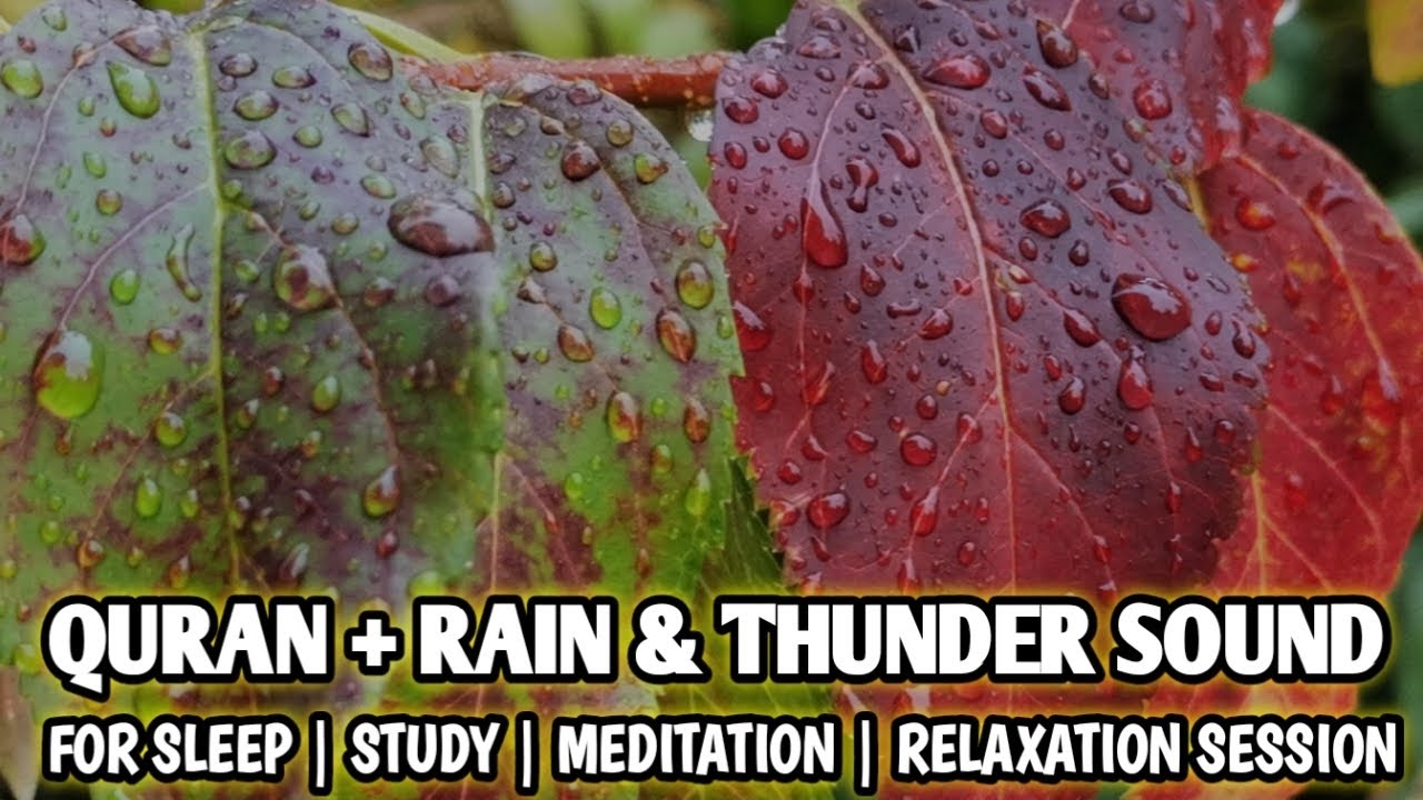 Rain And Peace Quran Recitation For Sleeping Relaxation Meditation ...