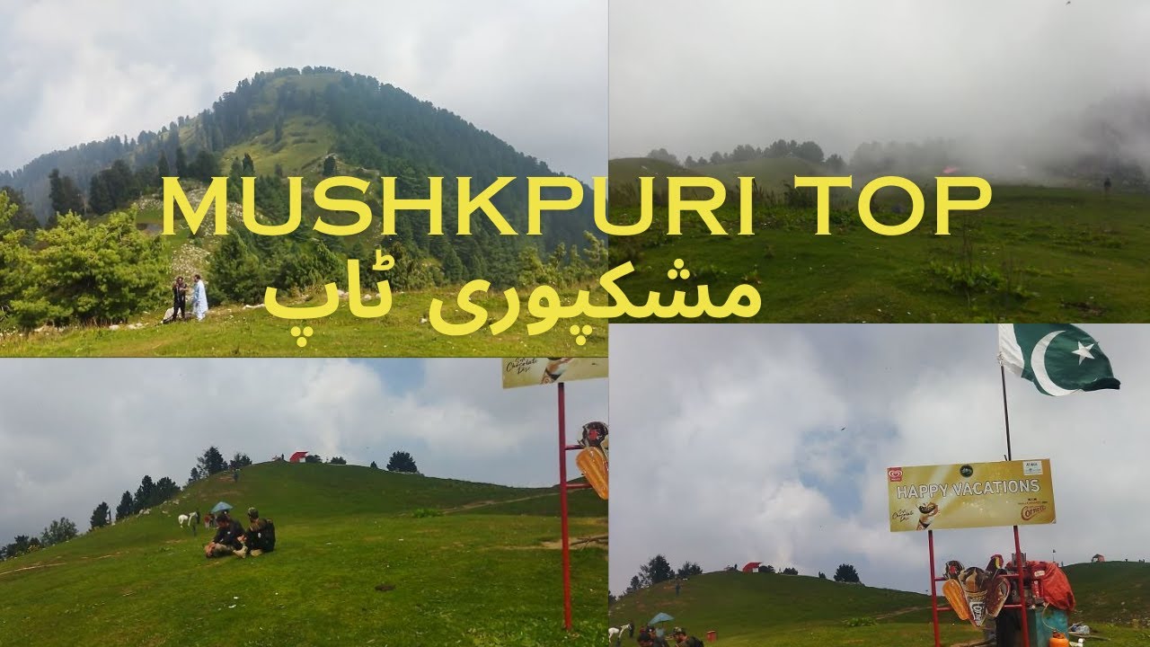 MUSHKPURI TOP| NATHIA GALI TO MUSHPURI TOP| HIKING TO MUSHPURI TOP ...